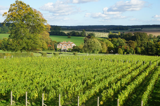 News & Events – Candover Brook