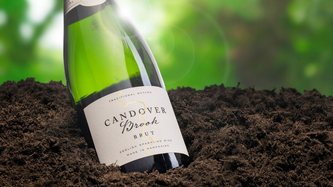 SPARKLING WINE – Candover Brook
