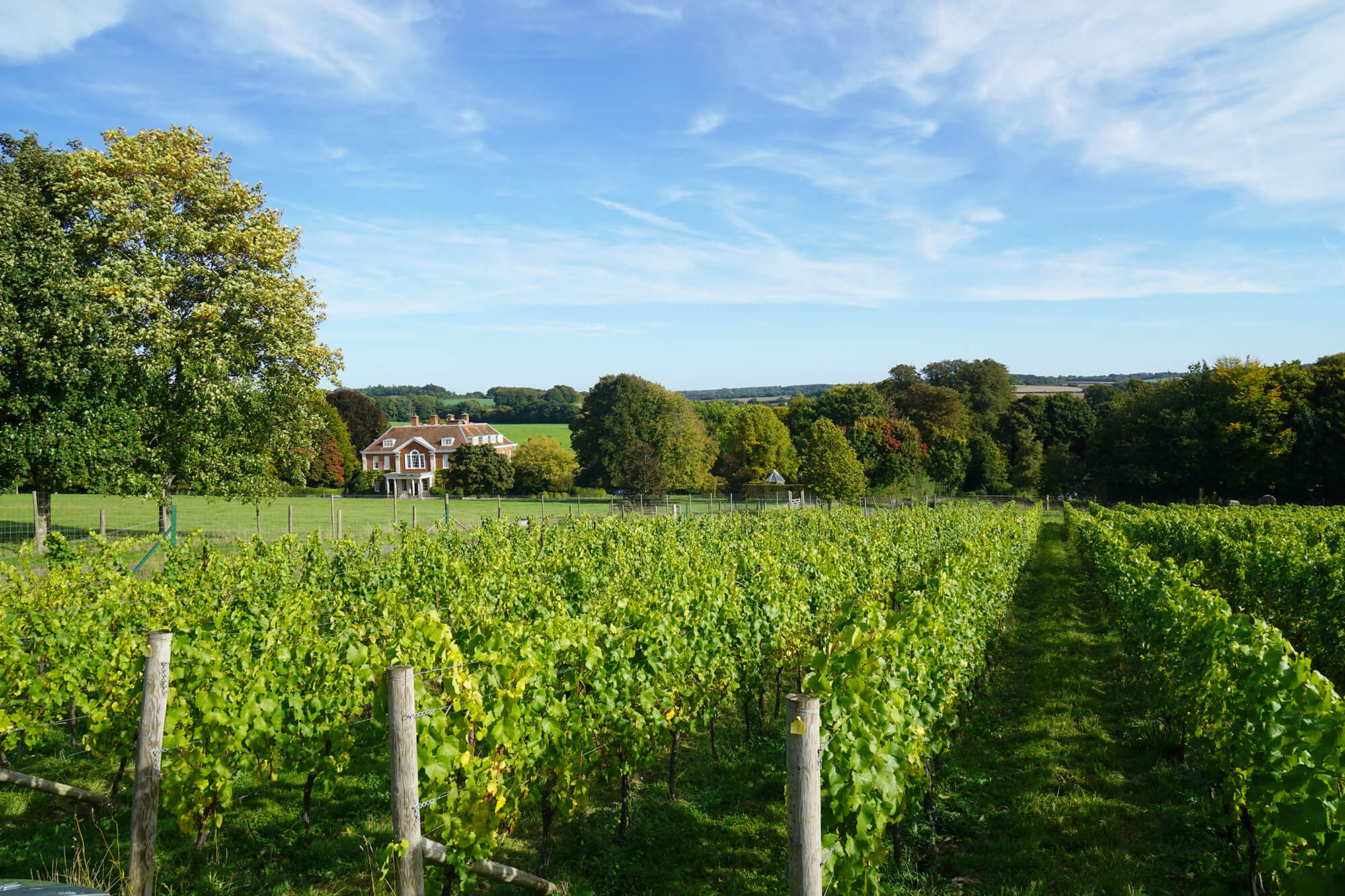 Our Story – Candover Brook